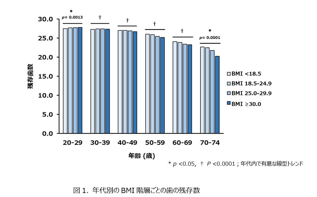 肥満度が高いと歯の喪失リスクにビッグデータ解析により中高年の歯の残存に大きな差があると判明～PLOS ONE誌で発表～ | Sunstar Group